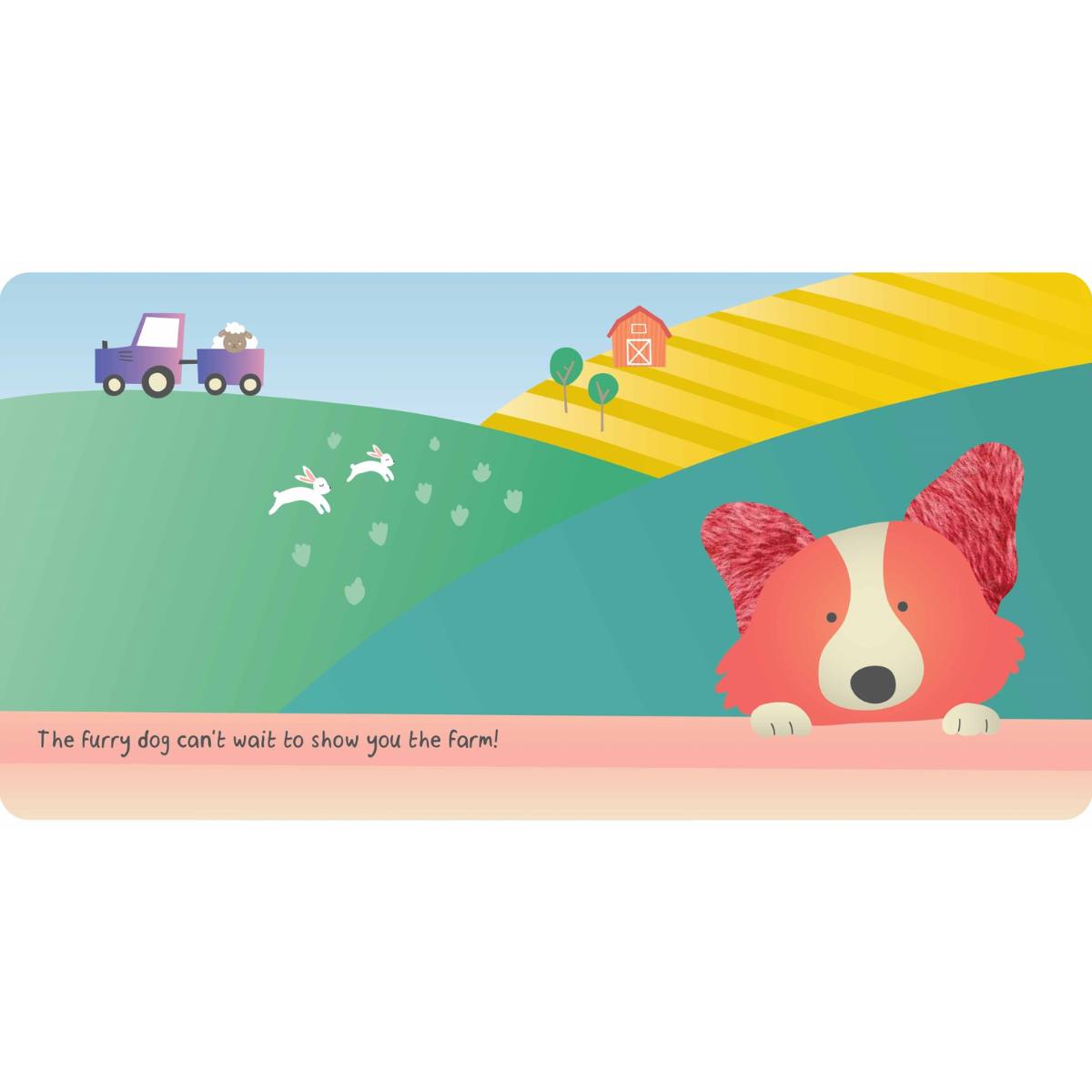 Farm Animals Touch & Feel Book – babycity
