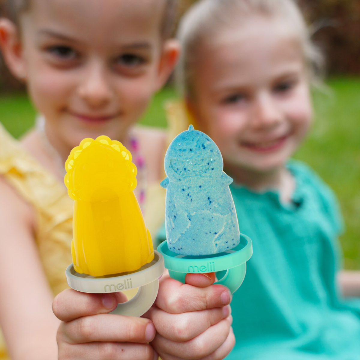 Melii 6 Piece Animal Ice Pops with Tray – babycity