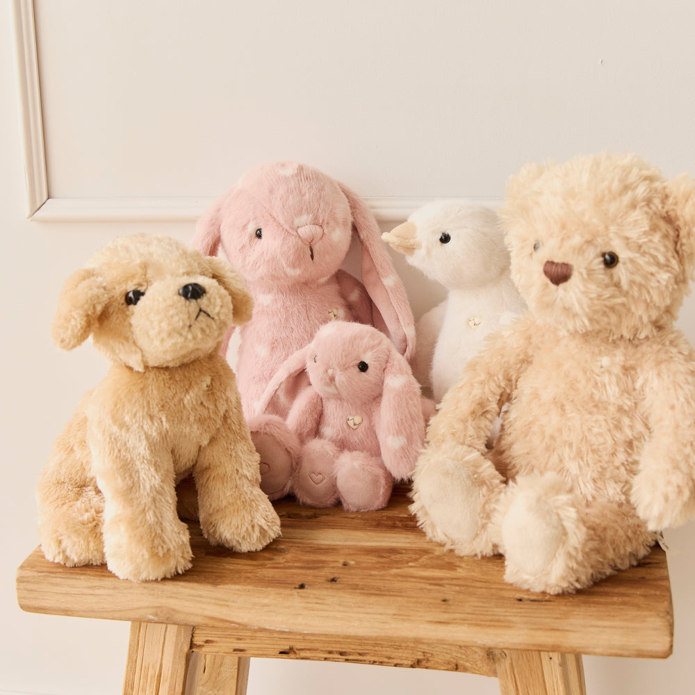 Snuggle Bunnies | Soft Plush Animal Toys – babycity